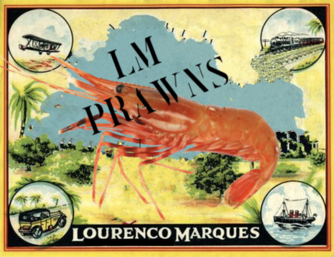 LM Prawns – Frozen Door-to-Door Shipping in Gauteng
